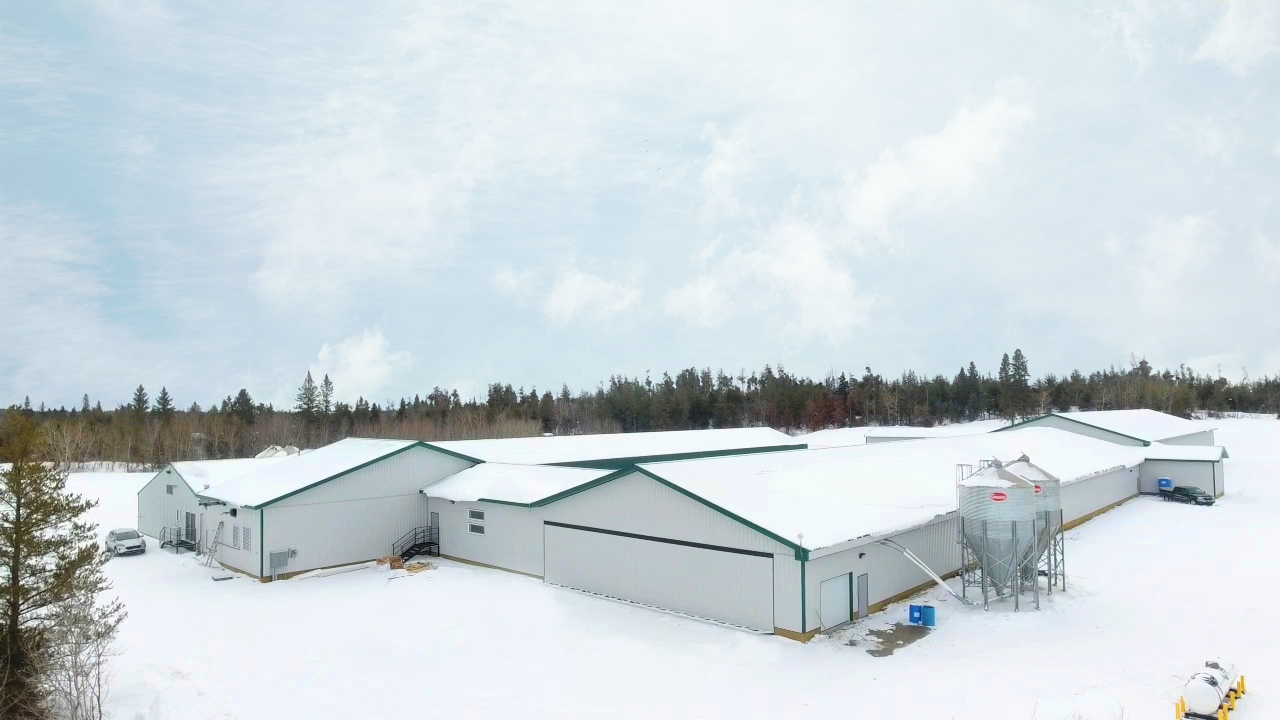 Poultry Laying Barn - Zak's Building